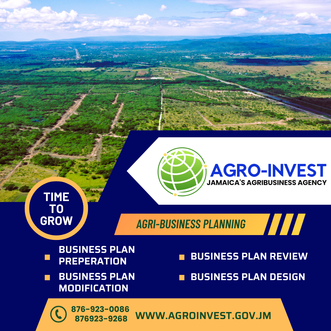 Business Planning and Counseling Services – Agro-Invest