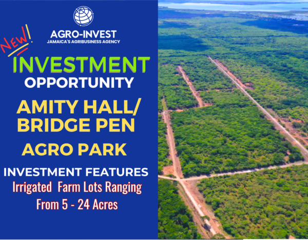 SPAD – Agro-Invest